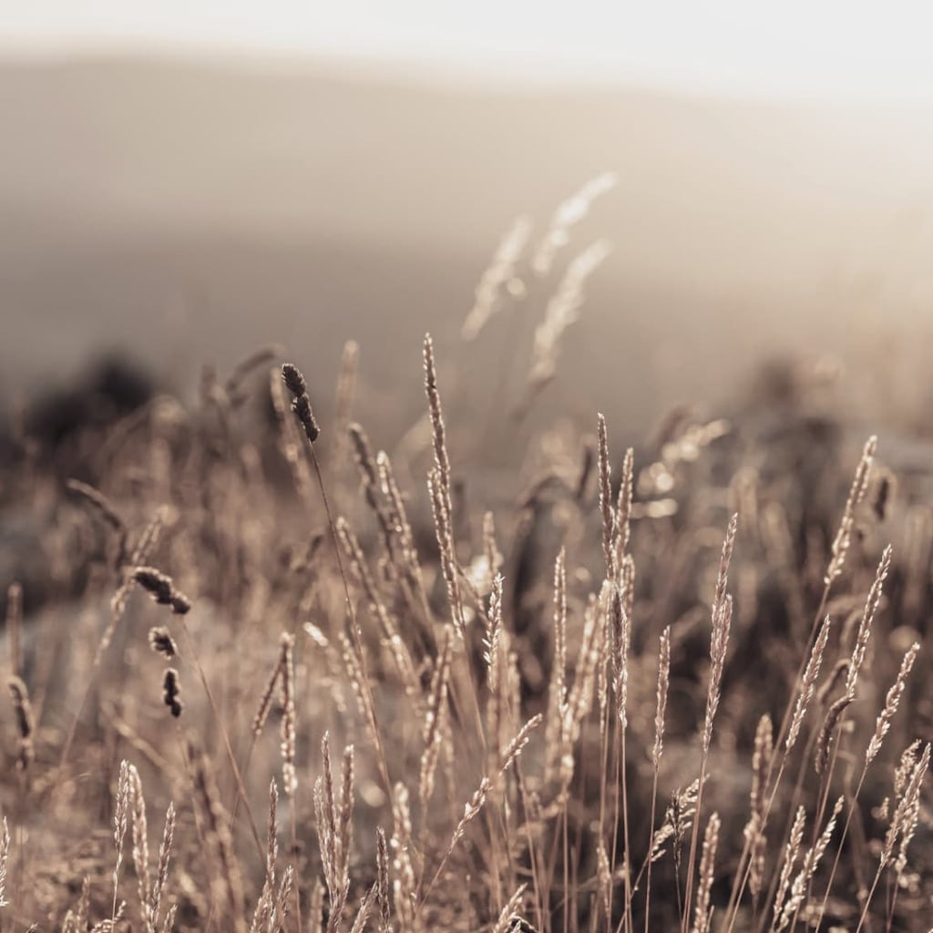 玫瑰金男士腕表自动上链Master Ultra Thin Moon超薄大师系列月相腕表Q1362511 | Jaeger-LeCoultre积家