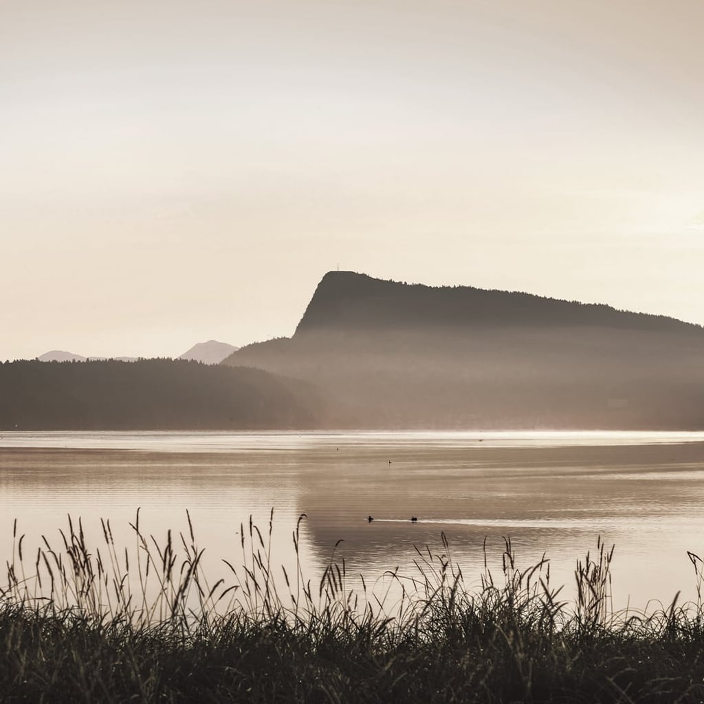 玫瑰金男士腕表自动上链Master Ultra Thin Moon超薄大师系列月相腕表Q1362511 | Jaeger-LeCoultre积家